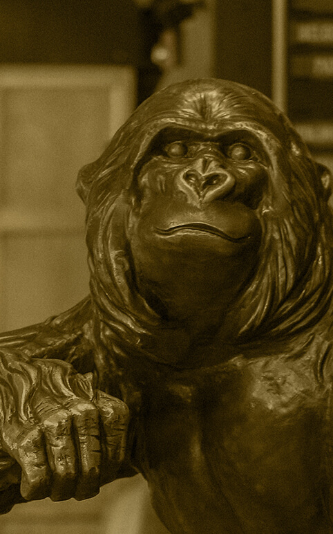 Downtown Denver Brewpub | Wynkoop Brewing